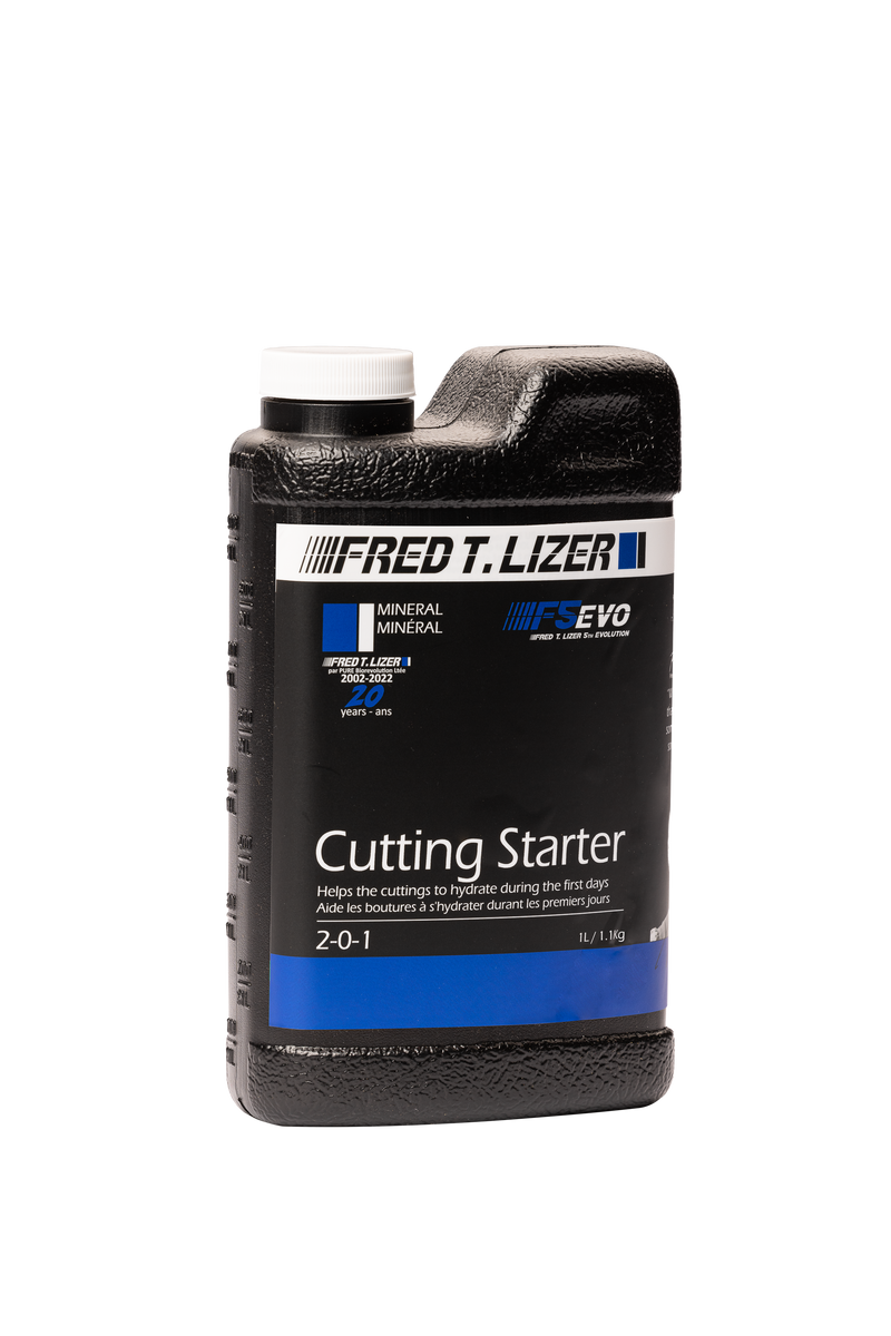Fred T. Lizer Cutting starter | Potager du Québec