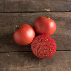 Plants de tomate en pot | Potager du Québec